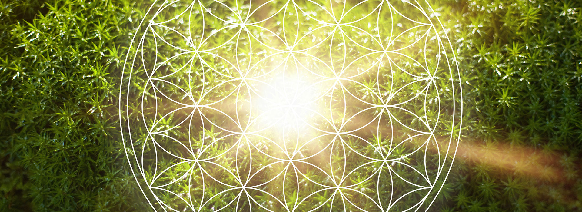 Qui sommes-nous ? - Le blog Energies de vies